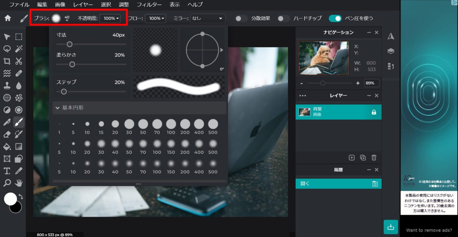 日本語で使えるインストール不要の無料画像編集ツール「Pixlr E」の使い方